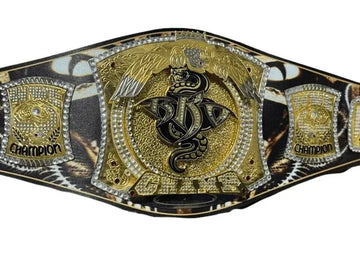 WWE Spinner Championship Belts | WWF Belt