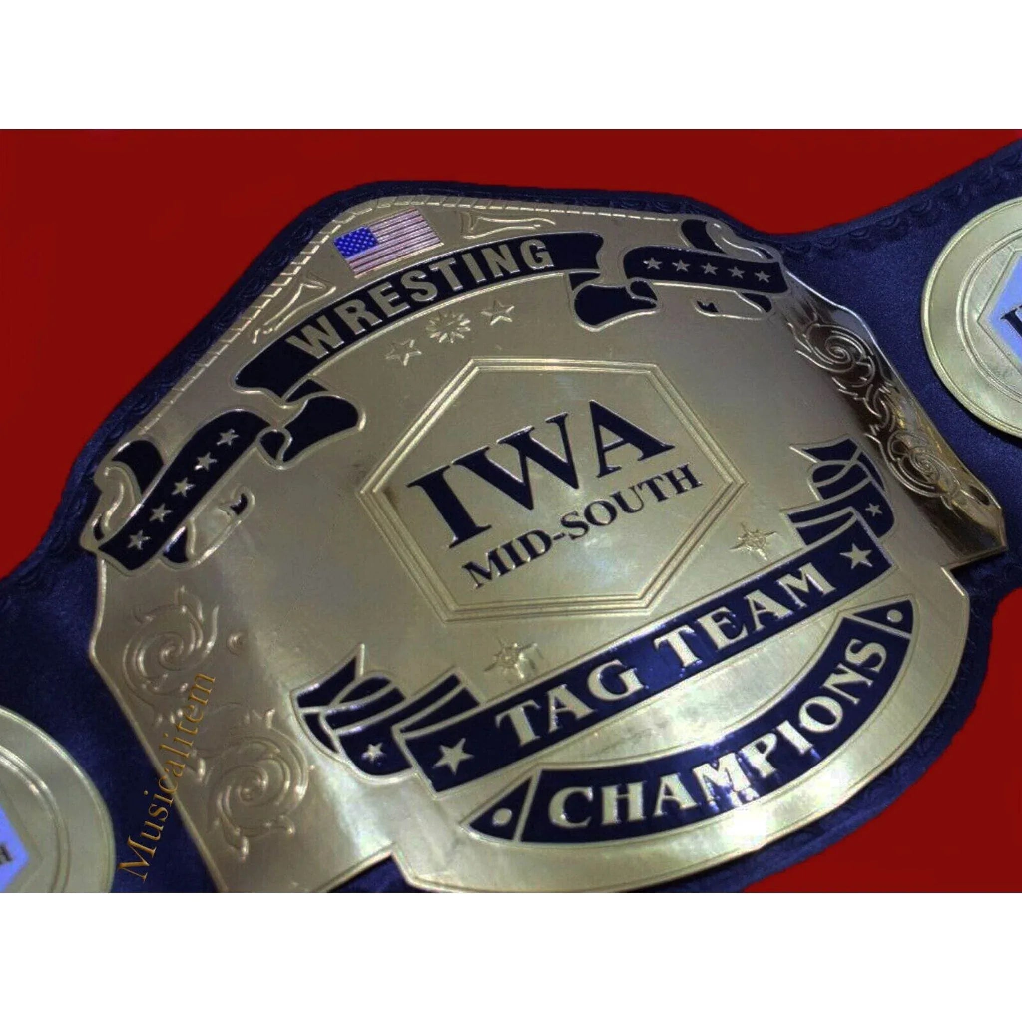 IWA Mid South Tag Team Wrestling Championship Title Belt | WWF Belt