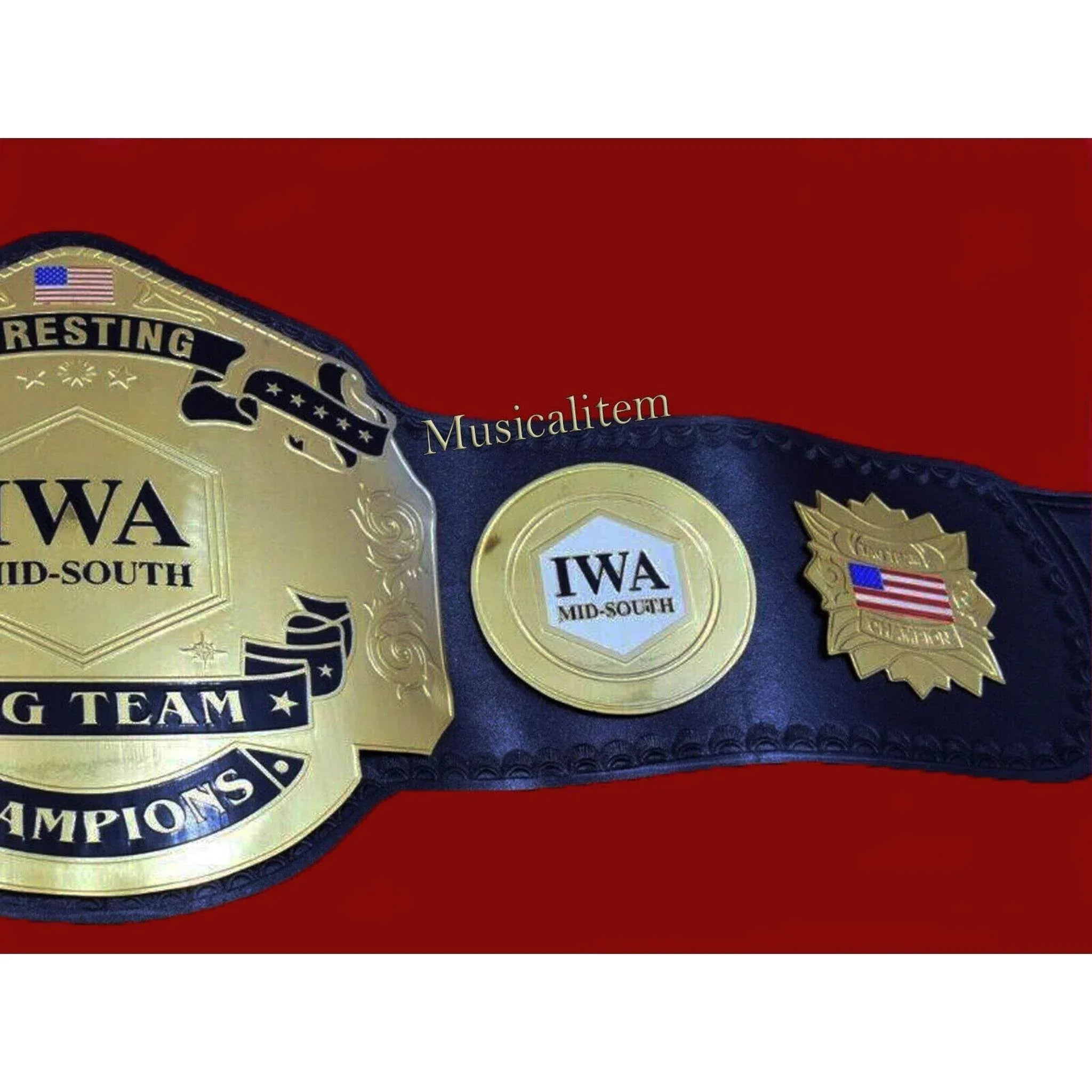 IWA Mid South Tag Team Wrestling Championship Title Belt | WWF Belt